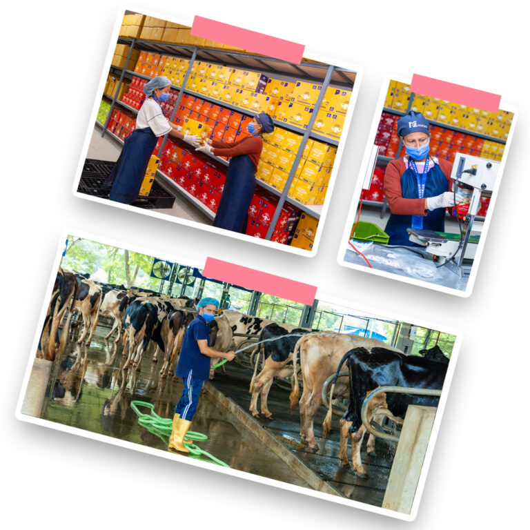 Manaram Farm - Manaram Group